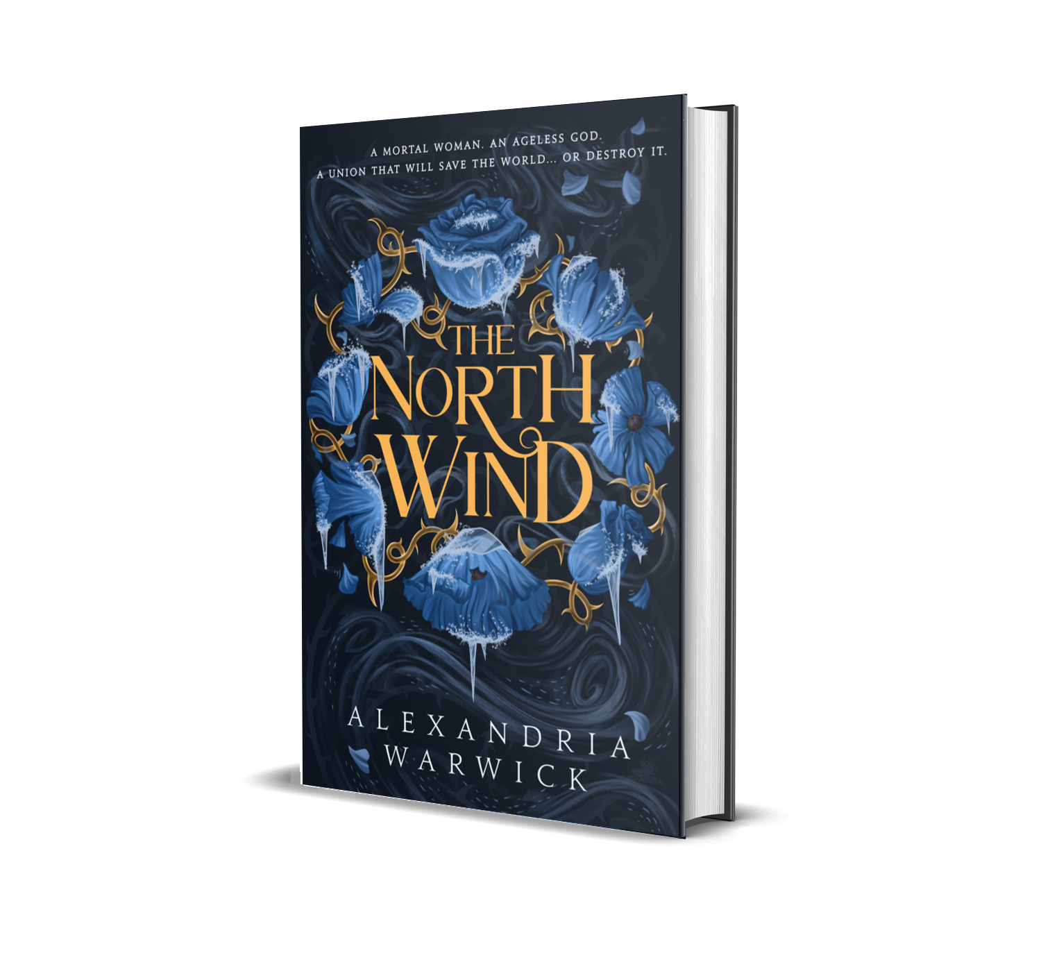 Home Page – Alexandria Warwick